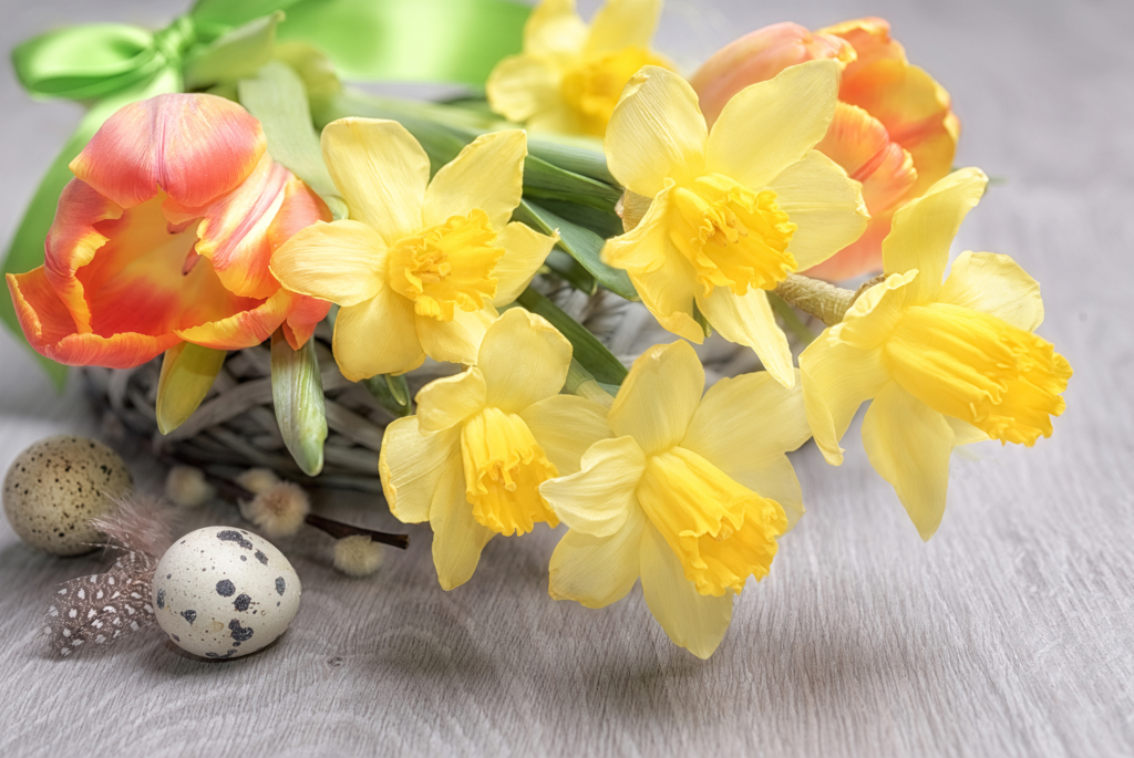 Choose American Grown for Your Springtime Holidays - American Grown Flowers