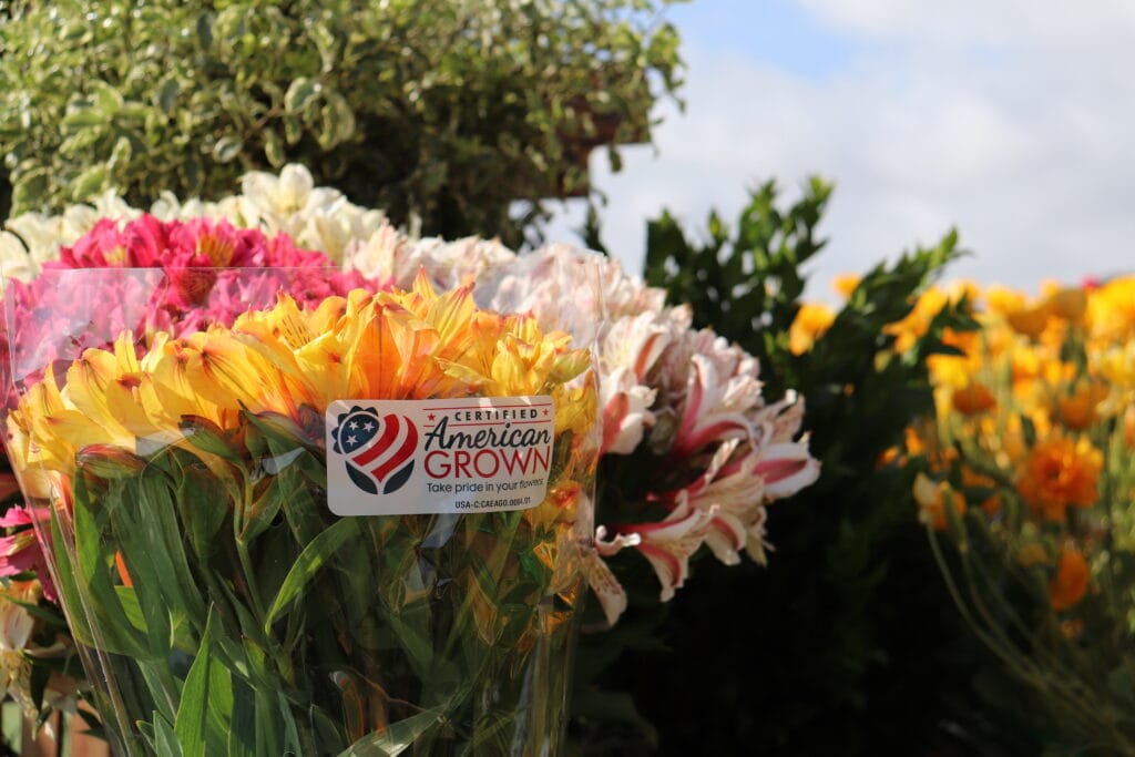 AGM Toolkit - American Grown Flowers