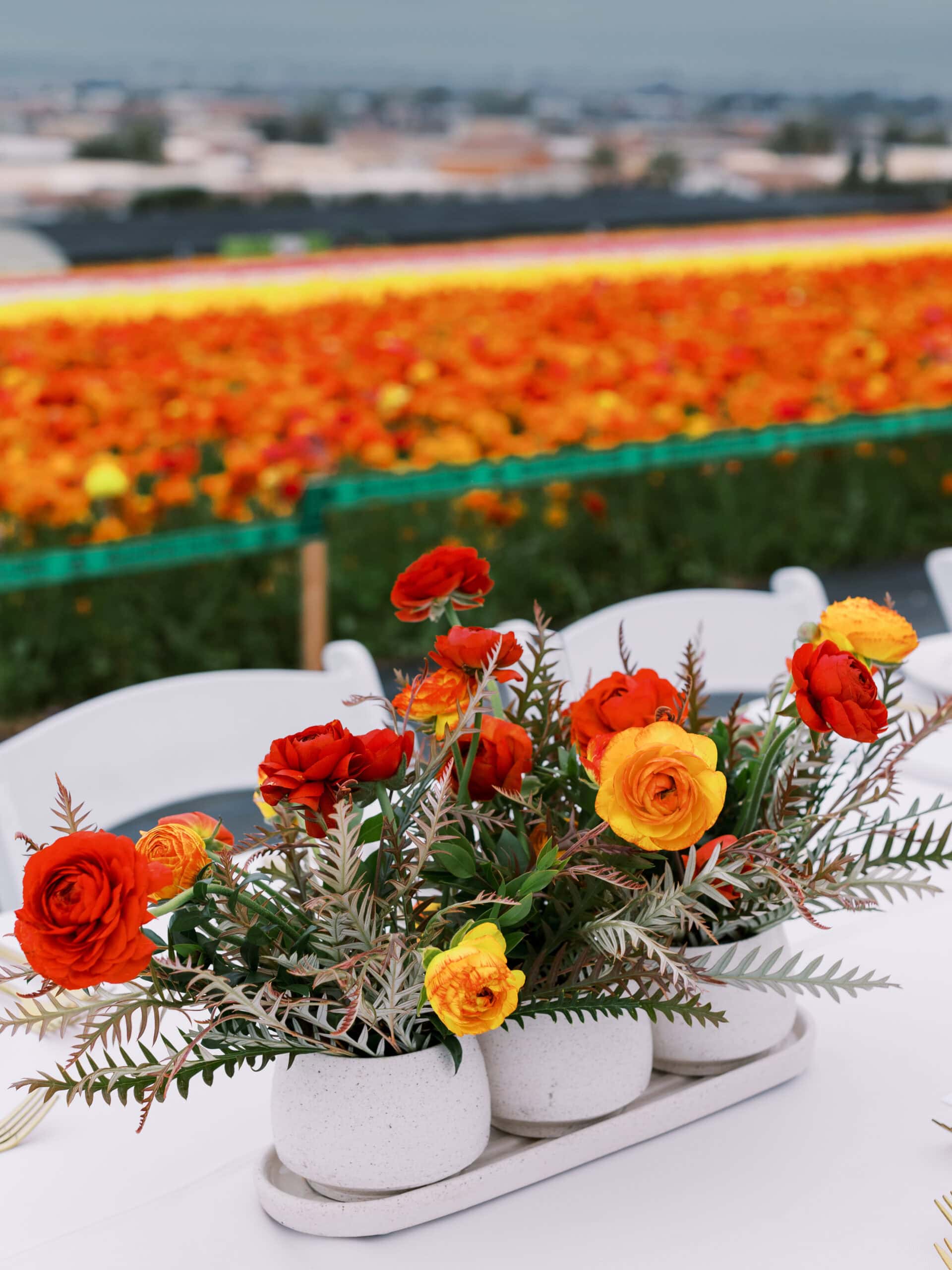 American Grown Flowers Floral Splendor & Culinary Delights: A Night to ...